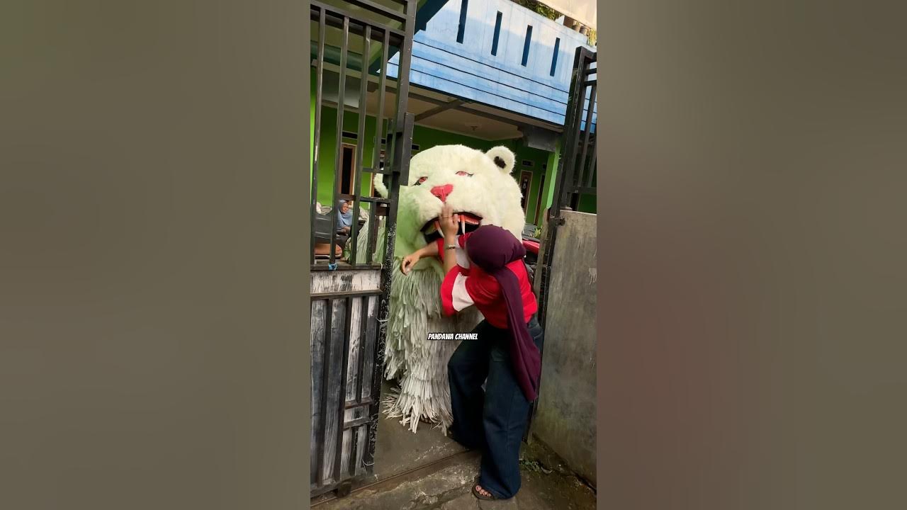 Mau Keluarin Can Macanan Malah Di Gigit - YouTube