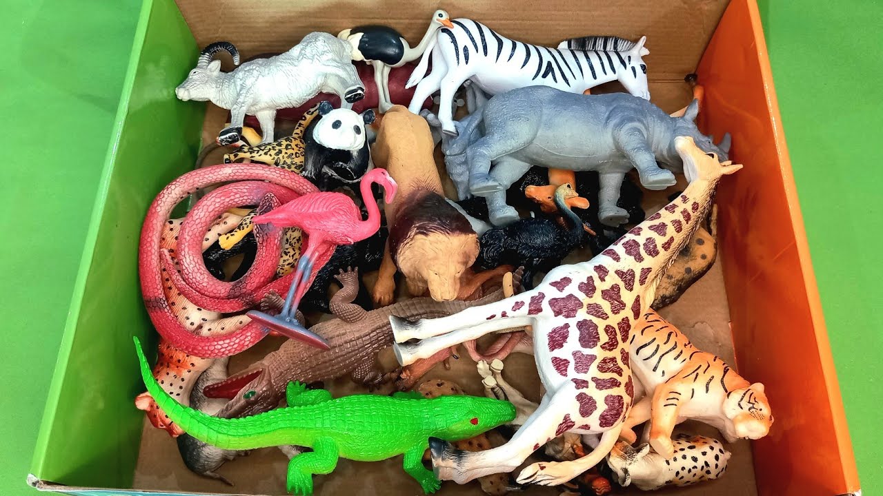 Wild Animals and Sea Animals.For kids| Box full of Animal toys for ...
