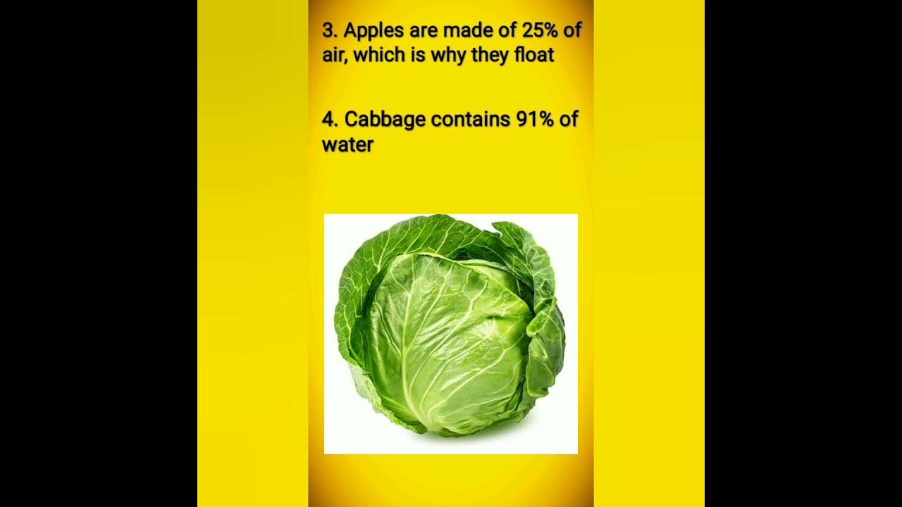 Food Facts YouTube food-facts-youtube