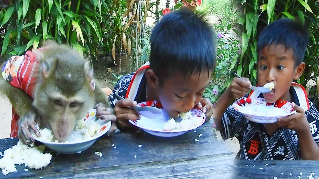 Incredible Eating ! Absolutely Hungry Like This - YouTube