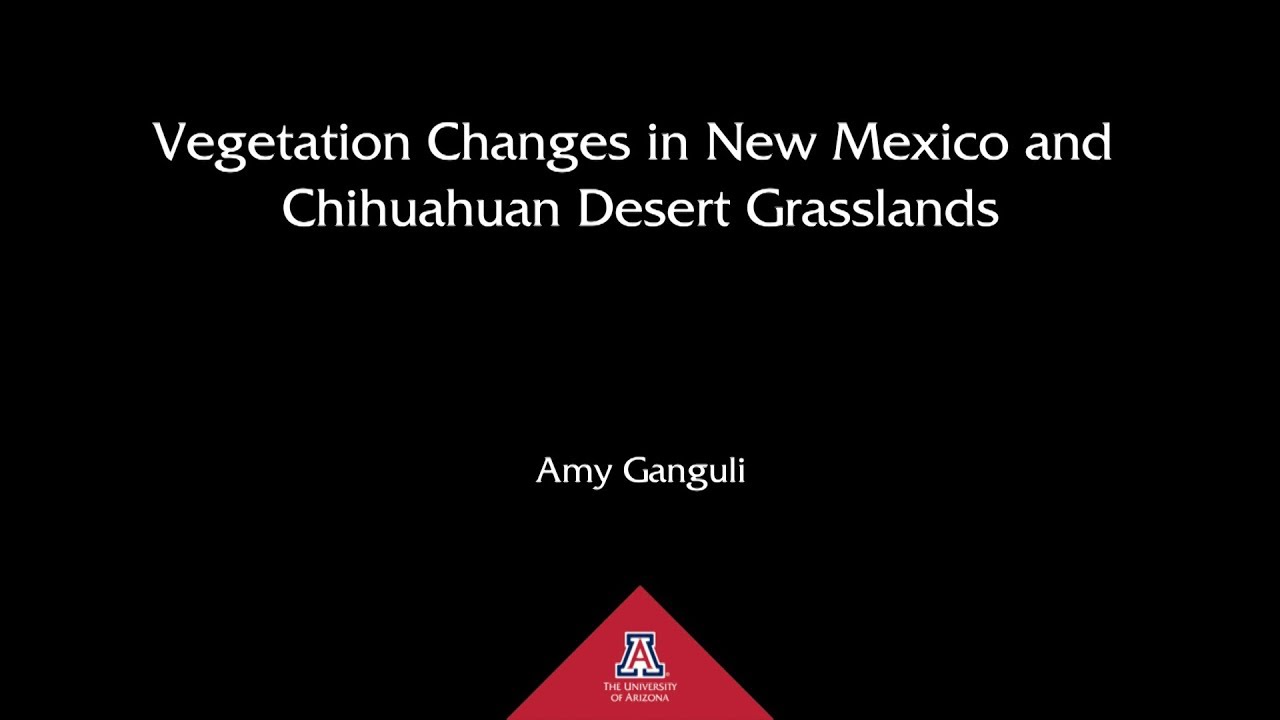 Vegetation Changes in New Mexico and Chihuahuan Desert Grasslands - Amy ...