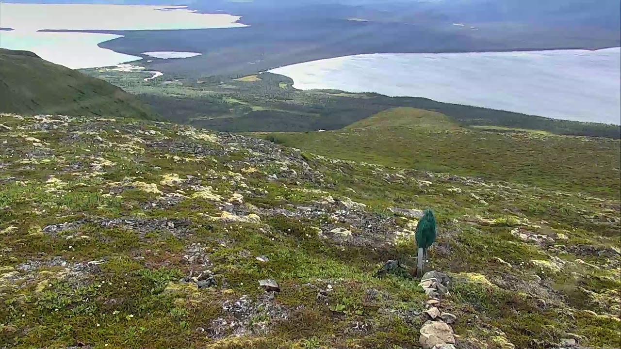 Dumpling Mountain - Katmai National Park Cam 06-27-2018 10:41:02 - 11: ...