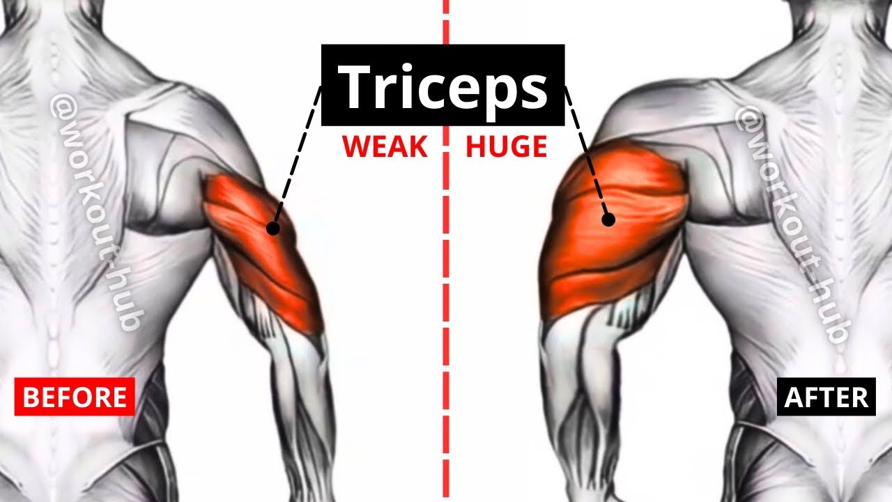 Triceps workout - Blast Your Tricep with These Killer Exercises - YouTube