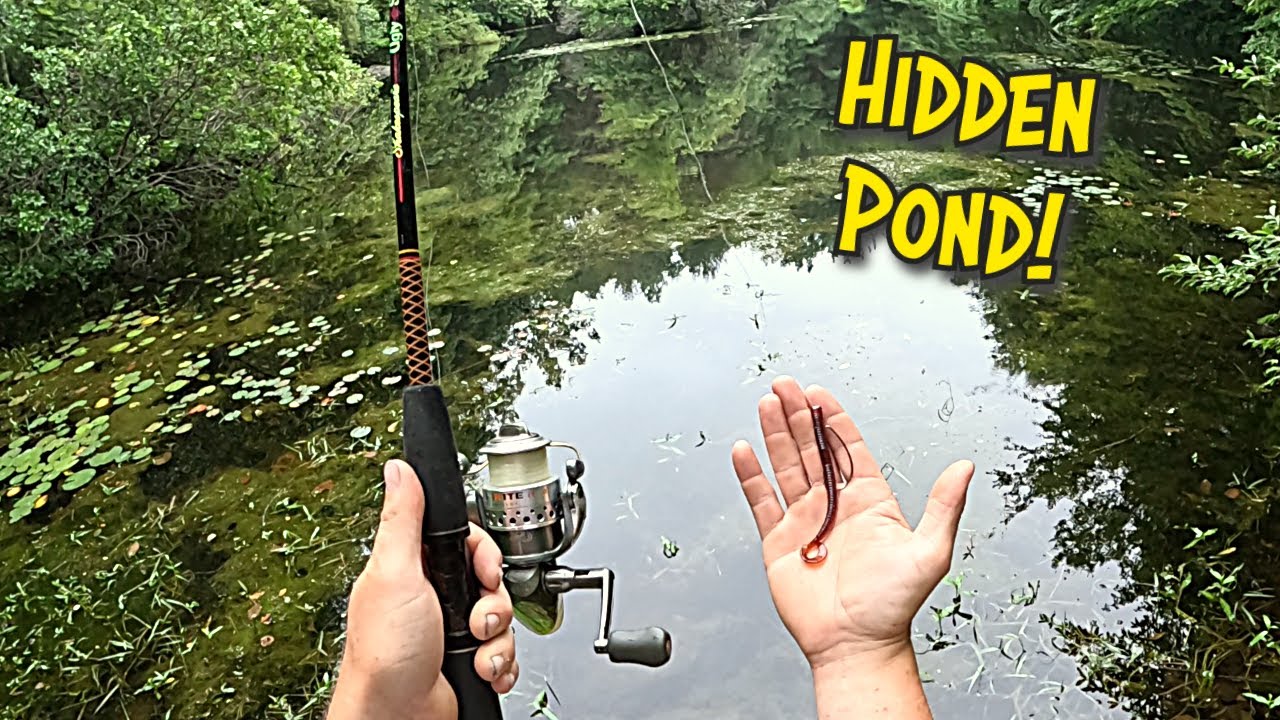 Fishing Hidden Ponds DEEP In The Woods! - YouTube