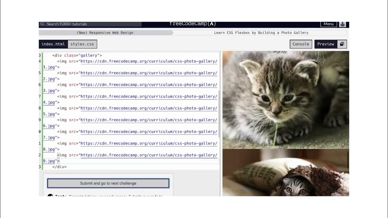 Building a Photo Gallery: Learn CSS Flexbox with FreeCodeCamp Responsive Web Design Course - YouTube