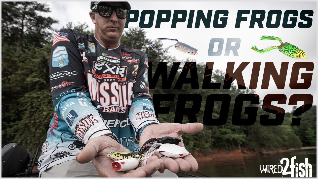 Popping Frogs or Walking Frogs? 🐸 - YouTube