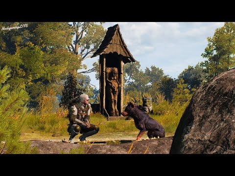 Hidden Dog Quest [A Dog's Life ] | Witcher 3: Wild Hunt - YouTube