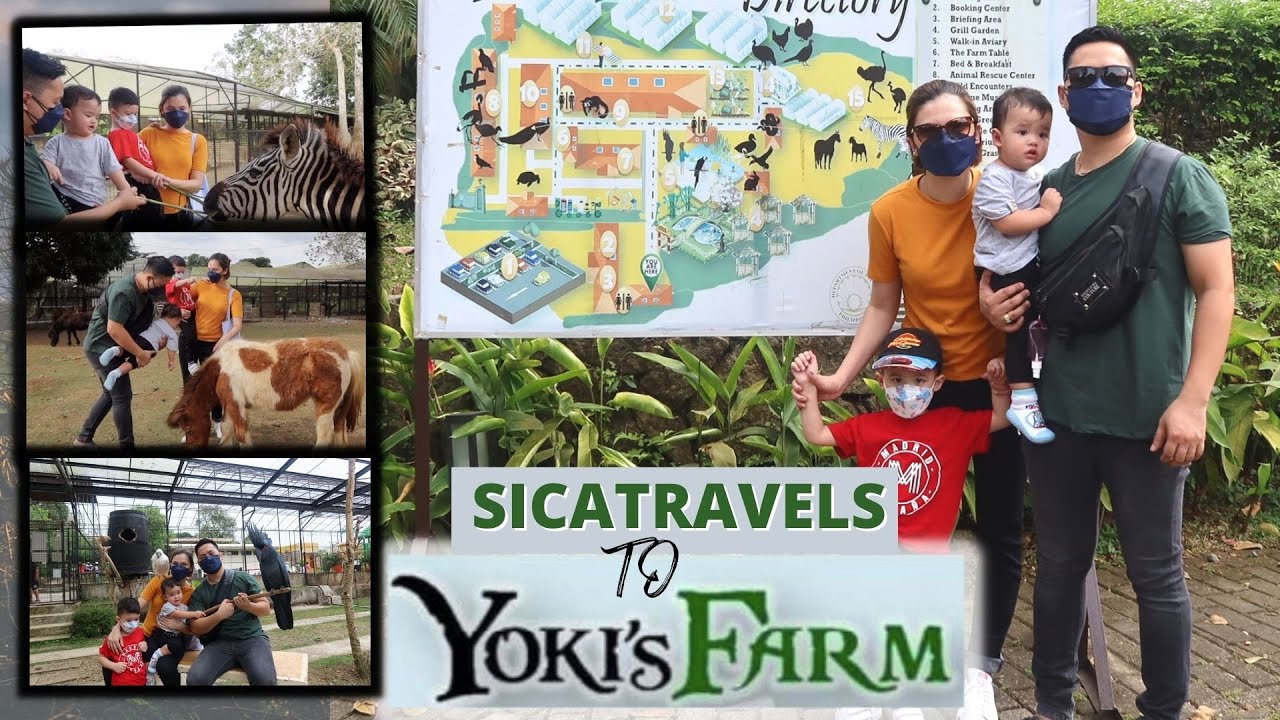 SICATRAVELS to Yoki's Farm | DayswithKath - YouTube