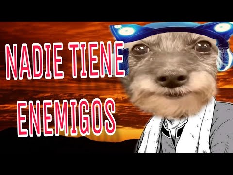 Perro tonto no tiene enemigos. Nadie los tiene. - YouTube