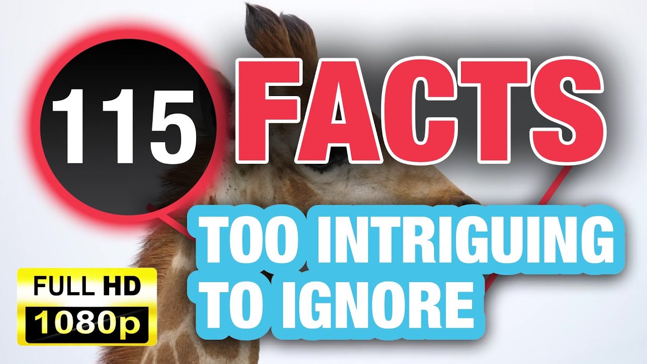 115 Interesting Facts That Will Challenge What You Know! - YouTube