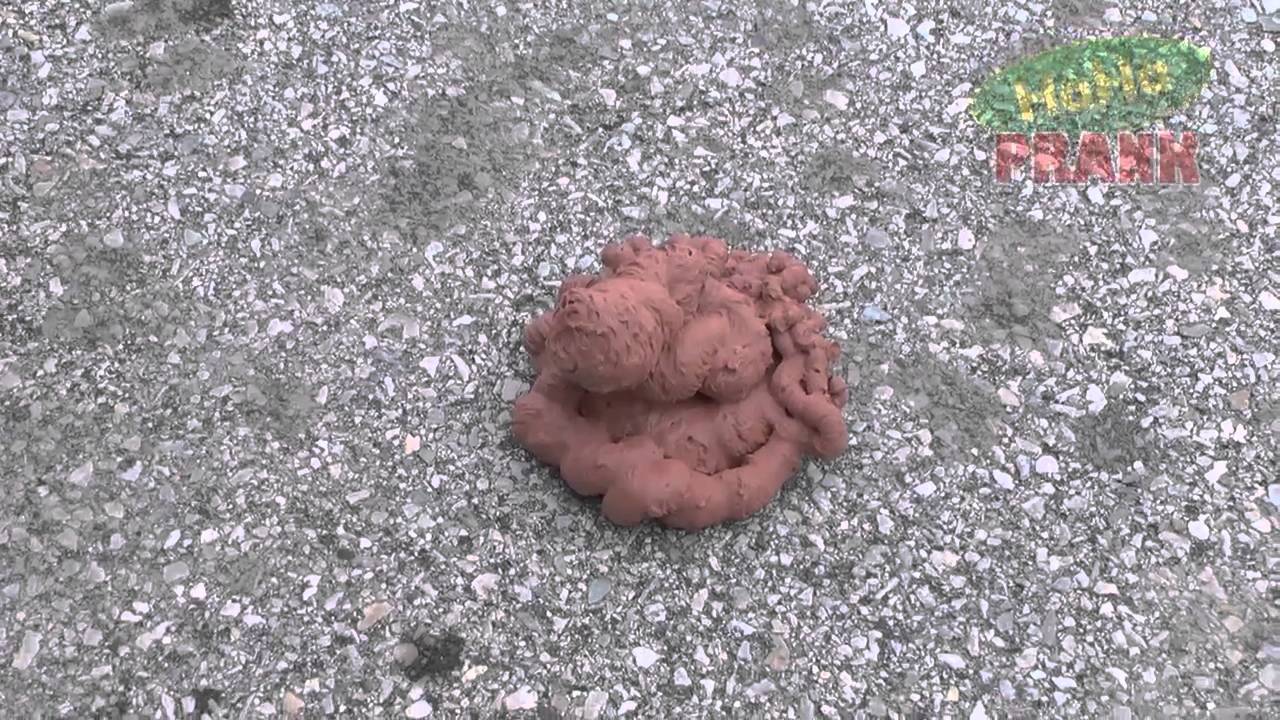 Insta-Poop: The Instant Turd in a Can! Presented by HahaPrank.com - YouTube