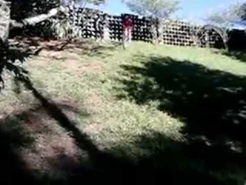 Video Original Bike dirigida por gasparsinho.