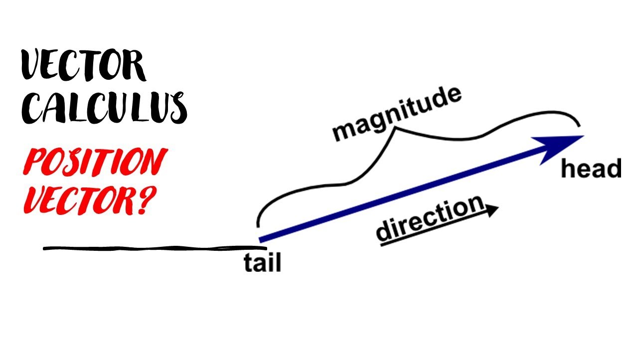 POSITION VECTOR | VECTOR CALCULUS | DEFINITION FORMULA OF A POSITION ...