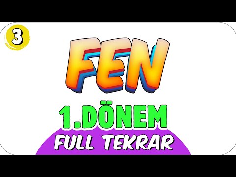 3. Sınıf Fen Bilimleri 1. Dönem Full Tekrar ♻ #2022