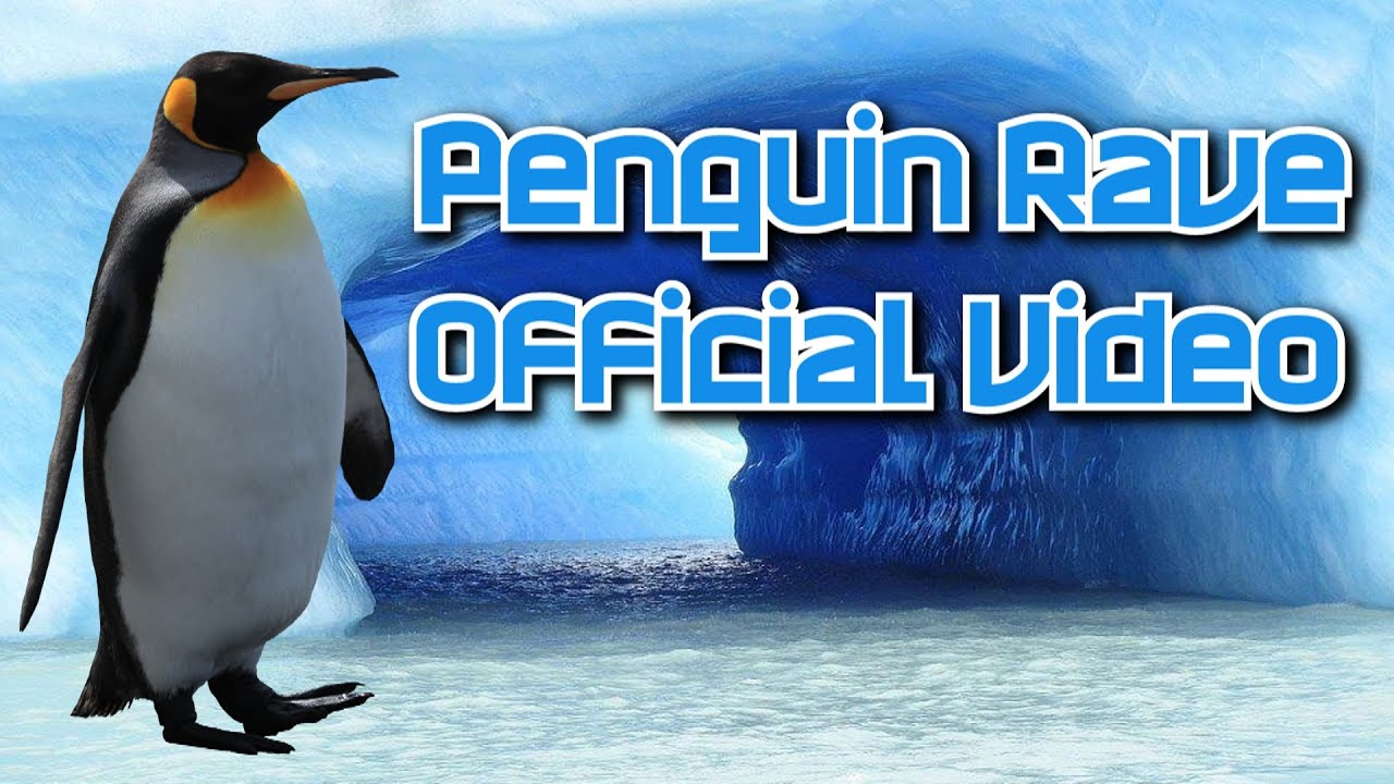 Penguin Rave - YouTube