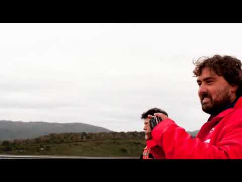NADADOR RUBEN GONZALEZ- BEAGLE 2013
