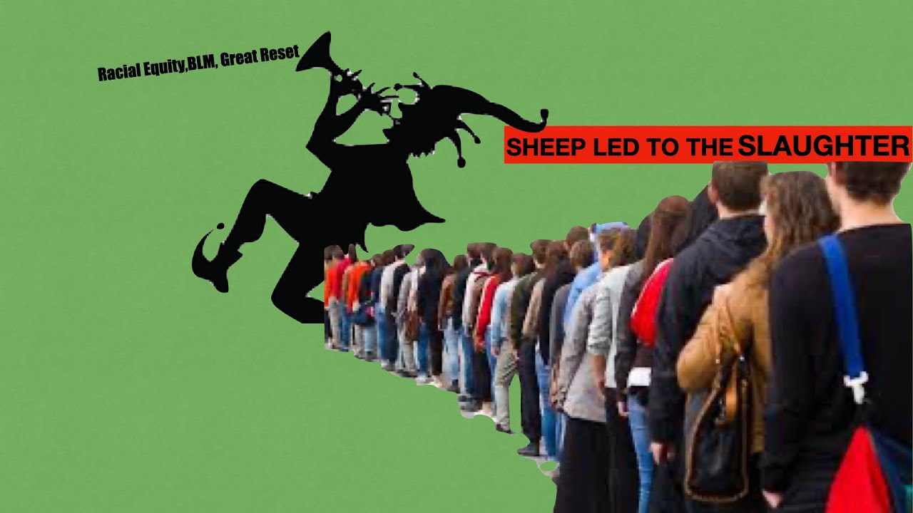 Sheep Led To The Slaughter - YouTube