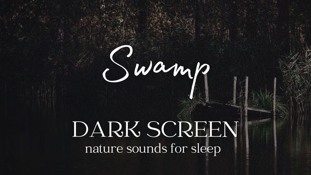 Swamp Sounds | Ambient Nature Sounds for Sleep | Dark Screen | 10 Hours ...