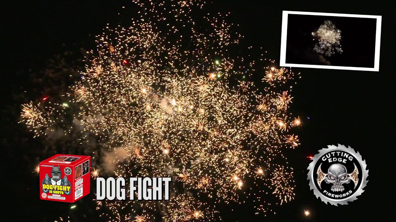 Dog Fight - 200g Multi-Shot Firework - Cutting Edge Brand - YouTube