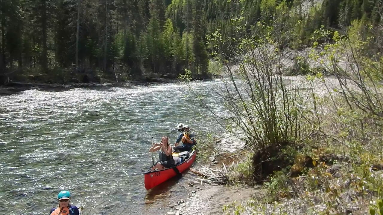 2019 06 15-23 Bonaventure River -DSCN0837 - YouTube