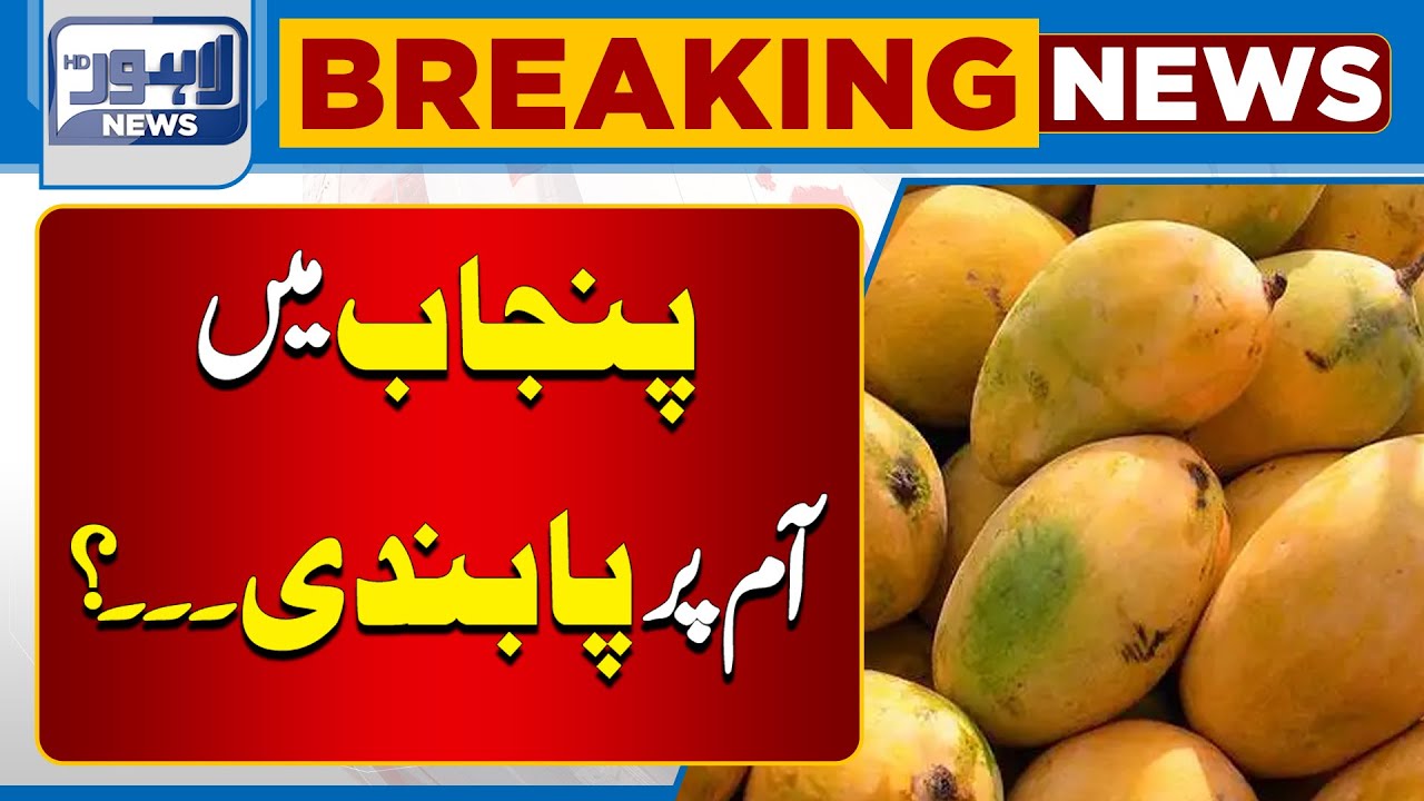 Mango Lovers Will No Longer Be Able to Eat Mango | Lahore News HD - YouTube