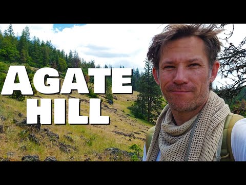 Oregon Rocks! Rockhounding Oregon| Agate Hill - YouTube