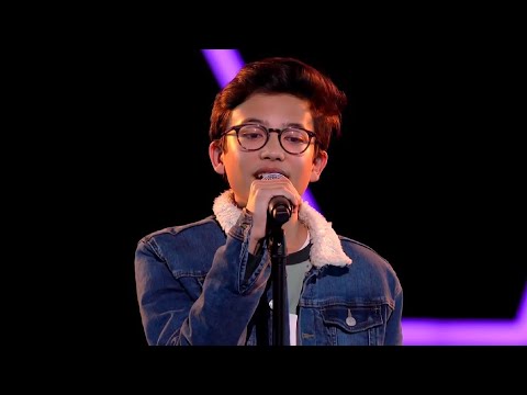 Lovely Justin Degryse - The Voice Kids | #LovelyBillieEilish # ...