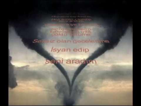sen gittin sesli siir orhan_ca
