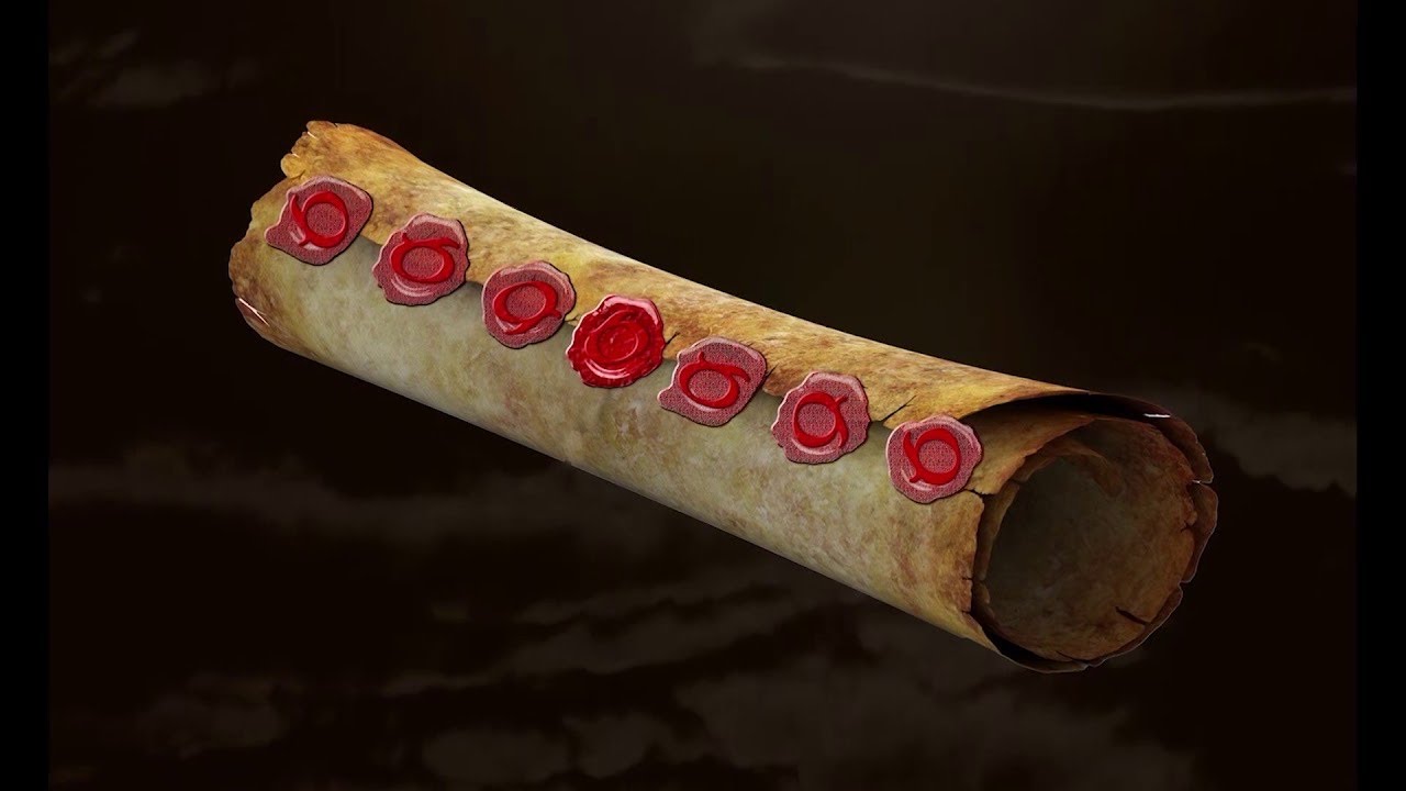 The Seven-Sealed Scroll of Revelation | Mikel Cary - YouTube