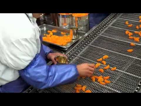 Mandarin Orange - Selecting the Oranges - YouTube