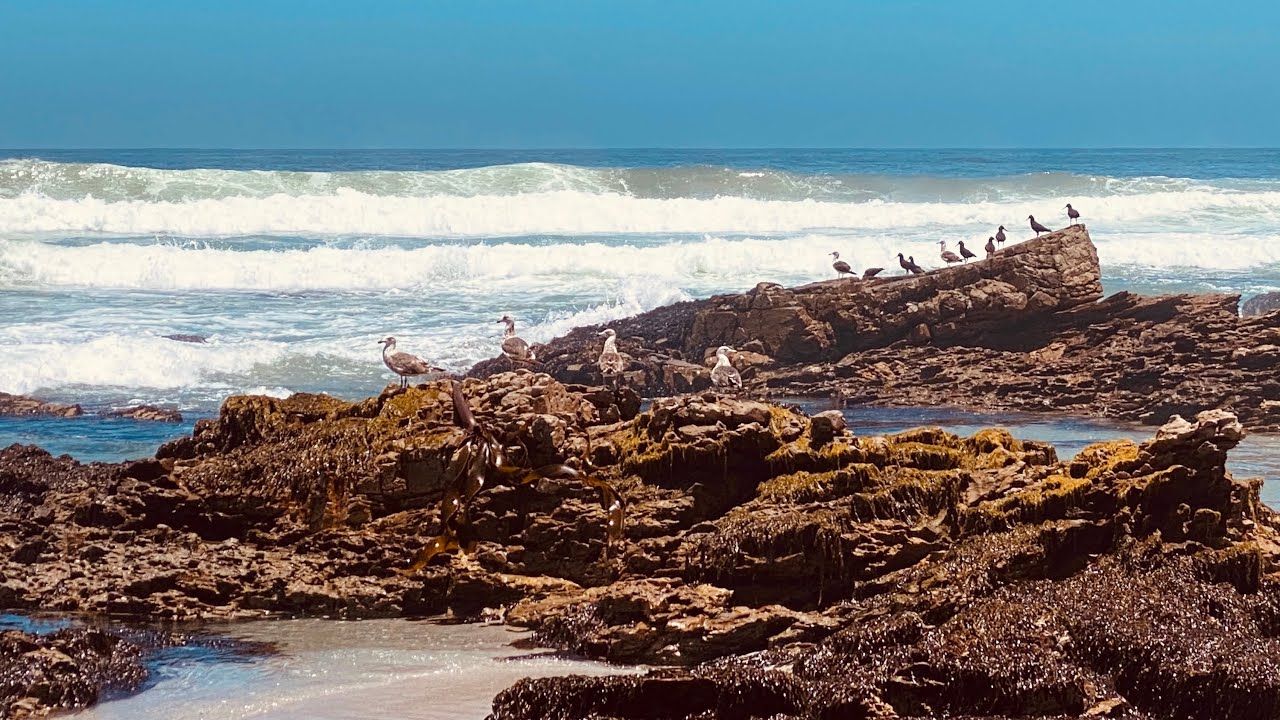 Weskus Kampkos Ep.4 - Weskus Pasta Pot (with English subtitles ...