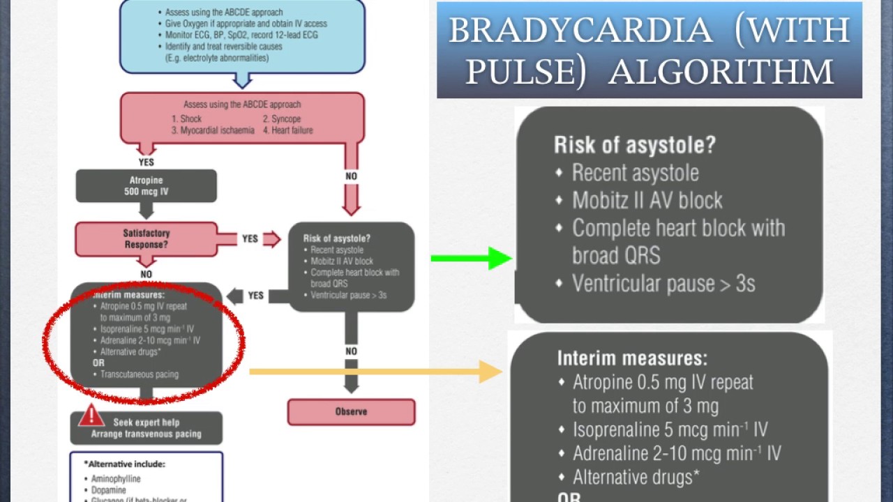 ALS ALGORITHM ADEC - YouTube