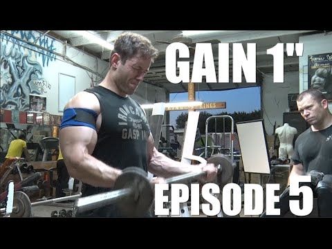 ARM GAINS - 1 INCH in 8 WEEKS ep.5 - YouTube