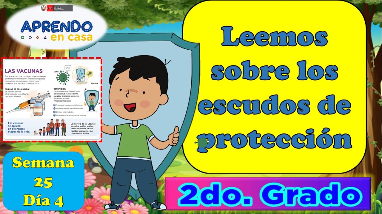 Semana 25 - segundo grado - Leemos sobre los escudos de protección ...