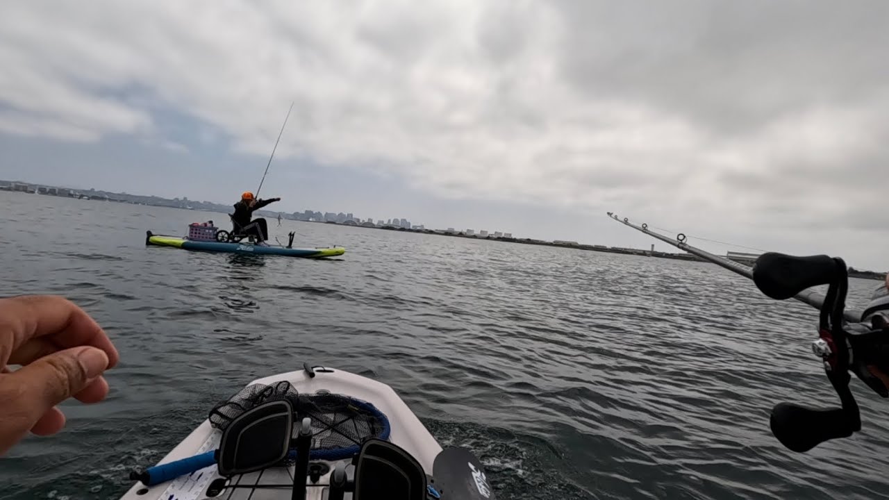 Day two of fishing | Madi gets SD Grand slam! | San Diego bay fishing ...