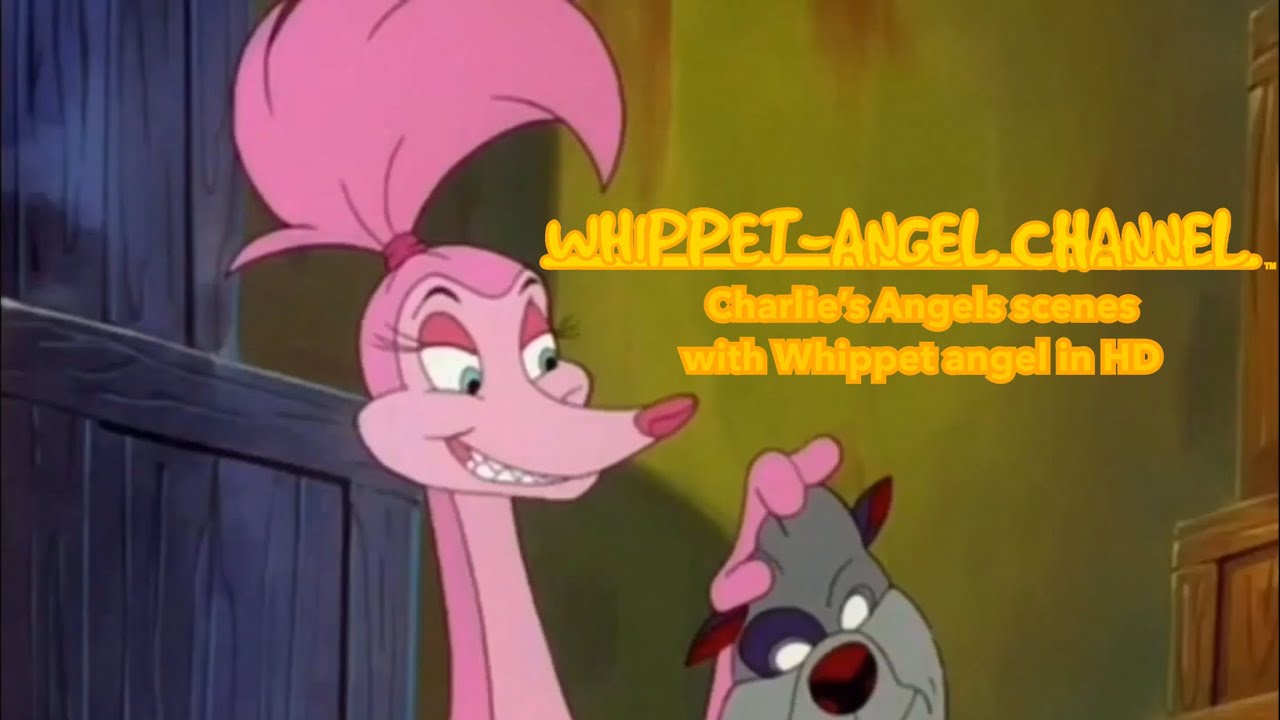 Scenes with the whippet angel Charlie's Angel! - YouTube