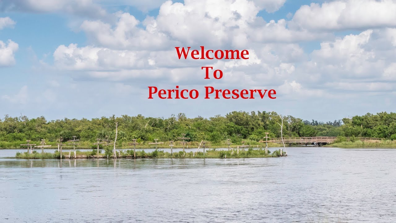 Welcome To Perico Preserve - YouTube