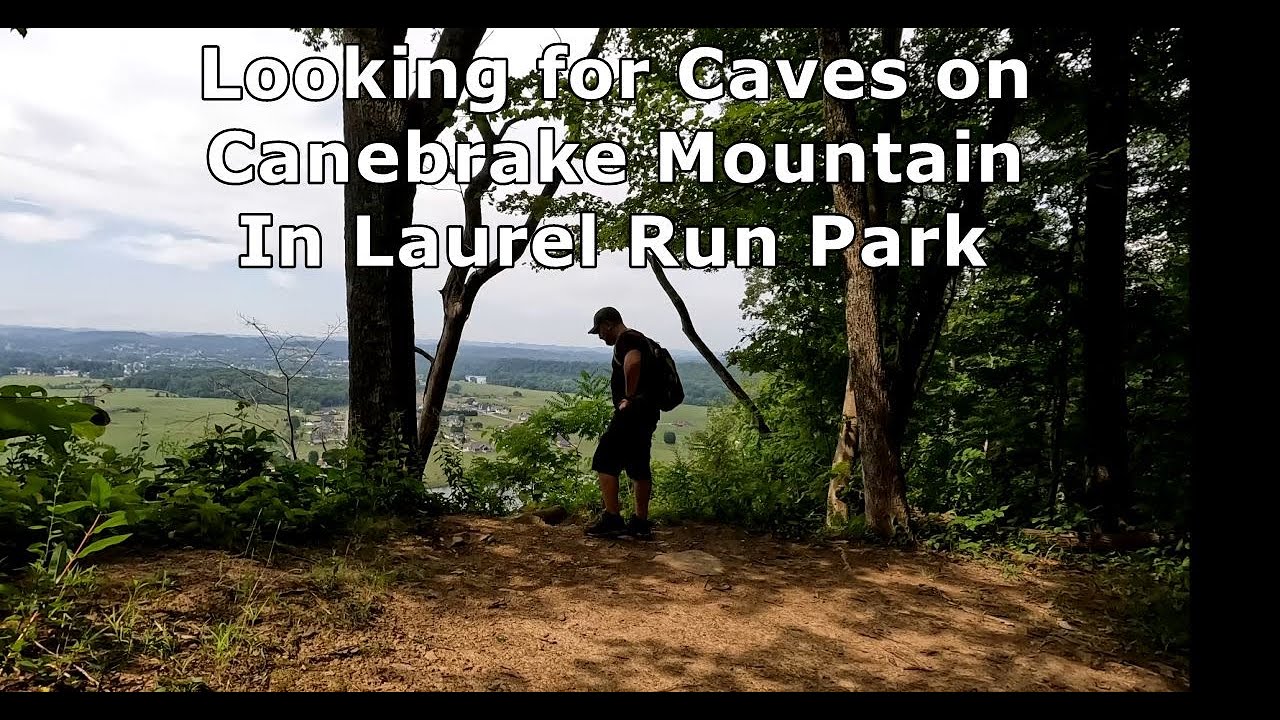 Laurel Run Cave Search Part 2: Canebrake Mountain Overlook Loop - YouTube