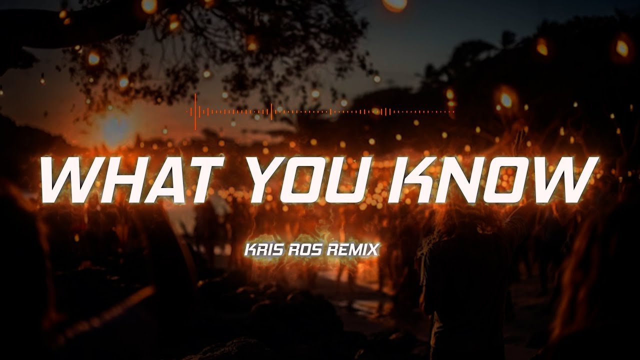 Two Door Cinema Club - What You Know (Kris Ros Dance Remix) - YouTube