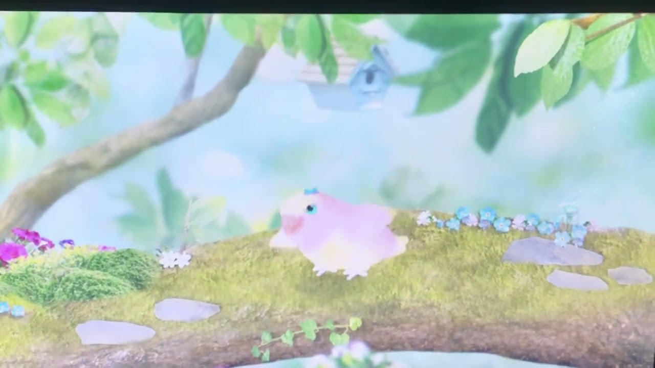 3rd and bird muffin dance - YouTube