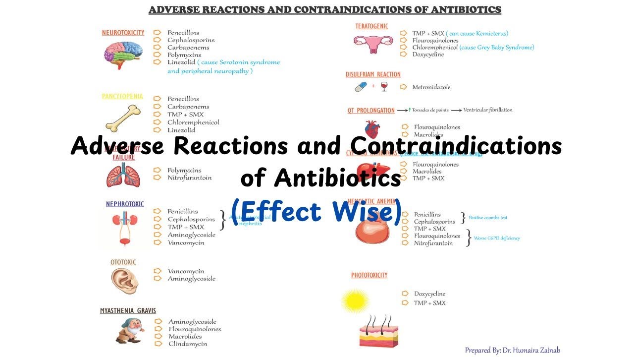 Adverse Reaction and Contraindications of Antibiotics (Effect wise ...