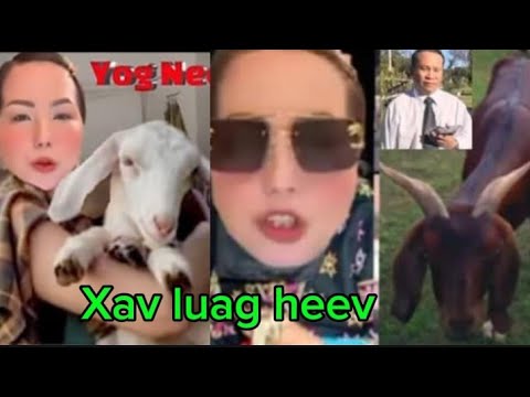Tham xov xwm lawv muab me es rau Ntuj Tshiab puag mas xav luag heev li - YouTube