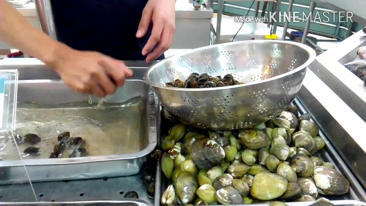 Vlog#47: Snails (kohol), anyone? - YouTube