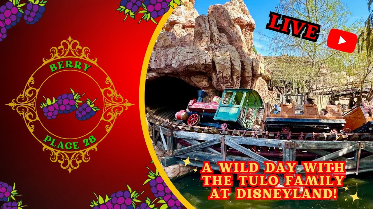 A Wild Day with the Tulo Family at Disneyland! - YouTube