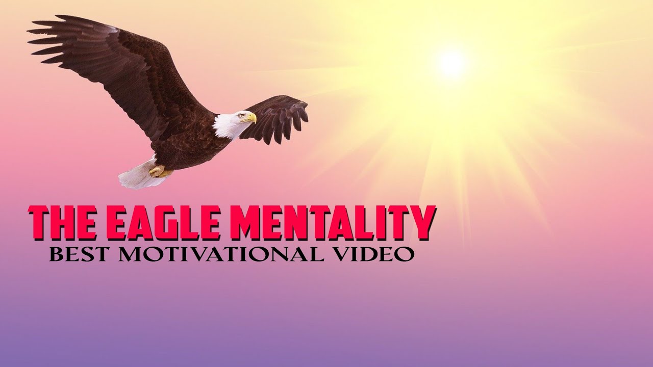 The Eagle Mentality Best Motivational Video - YouTube