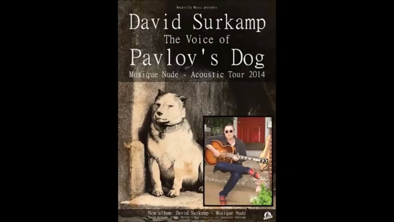 David Surkamp of Pavlov's Dog - Musique Nude Acoustic Tour 2014 ...