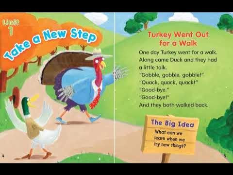 001 Turkey went out for a walk - YouTube