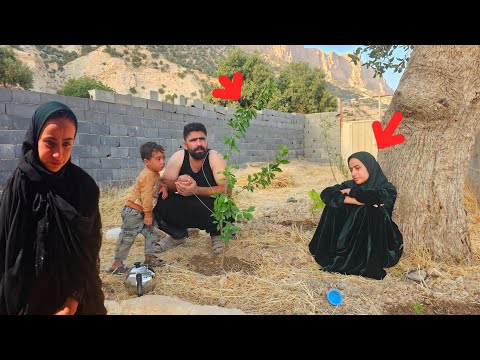 🌿 Arad and Seifullah; Planting saplings in the heart of the mountains ❤️ Pure nomadic life;