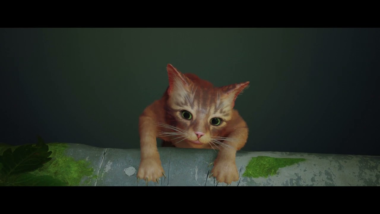 Reaction to Opening Scene in 'Stray' (2022) - YouTube