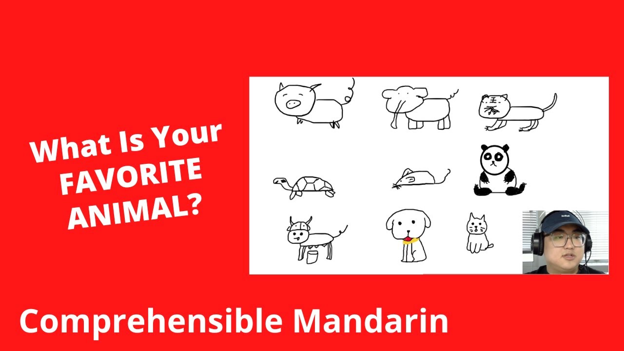 What Is Your Favorite Animal? - Chinese Comprehensible Input - YouTube